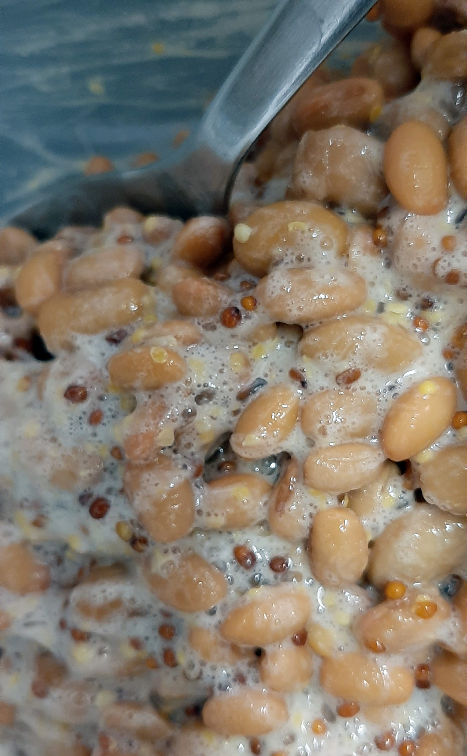 Qu’est-ce que le Natto ? – Kodomo Natto